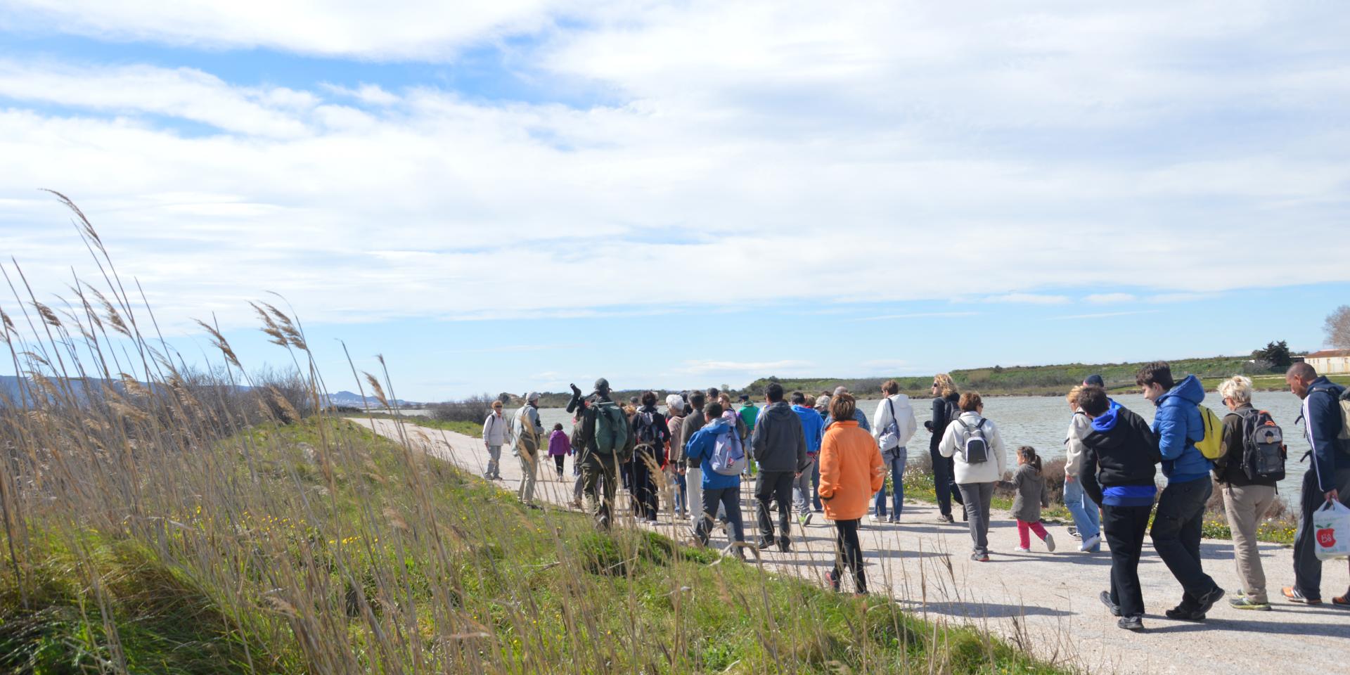 Cartes schématiques de randonnées | Office de Tourisme de Marignane