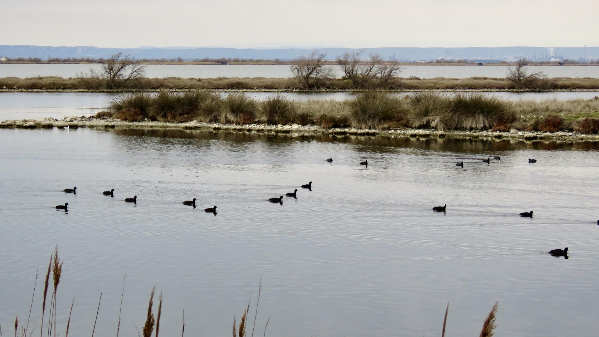 Tout l’agenda | Office de Tourisme de Marignane